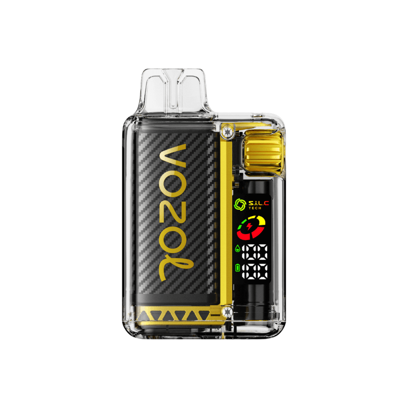 Vozol Vista 16000 Unlock True Power With Vozol Vapes